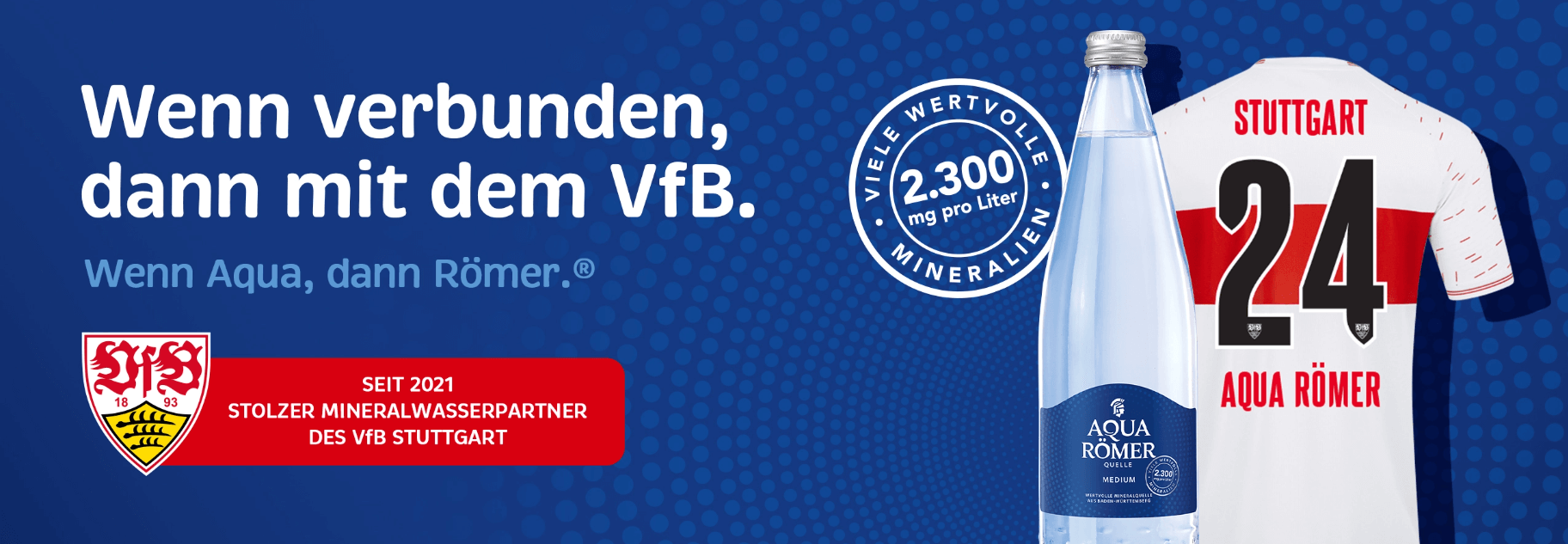 VfB Stuttgart Partnerschaft